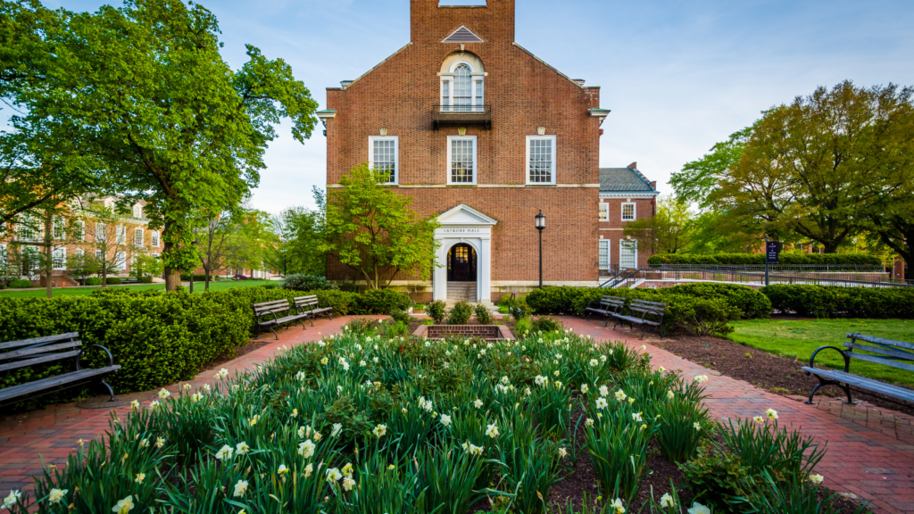 Johns Hopkins University presents building plans for Data Science and AI Institute to city panel ...